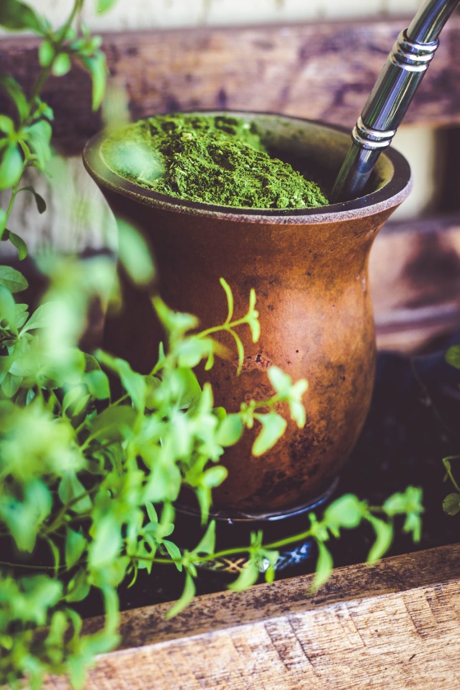 7 Proven Health Benefits Of Yerba Mate