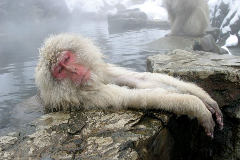 Onsen Health Benefits - 6 Reasons To Soak In Japanese Hot Springs