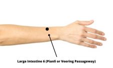 The 10 Best Acupressure Points for Shoulder Pain You Should Try