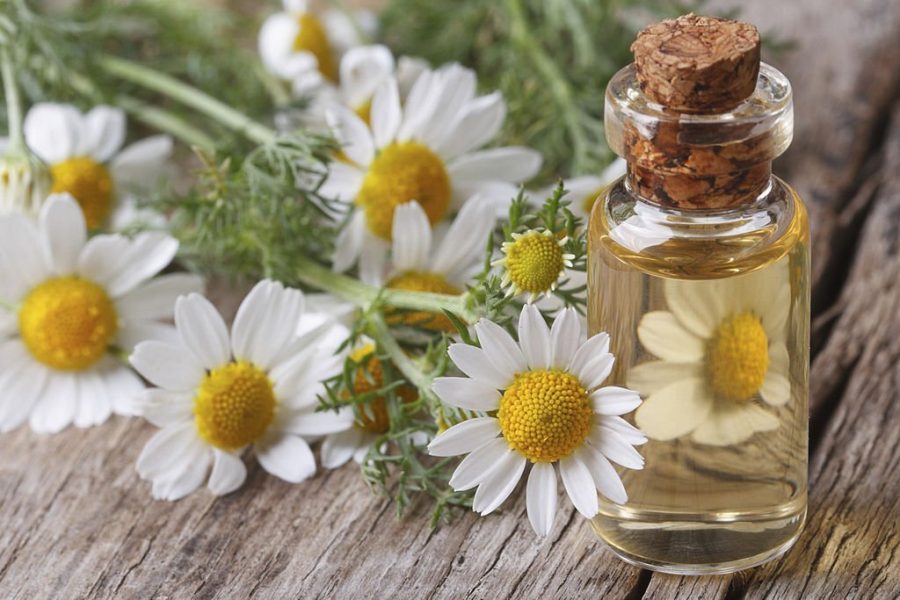The 10 Best Herbs For Skin Regeneration For A Healthier Skin - The ...