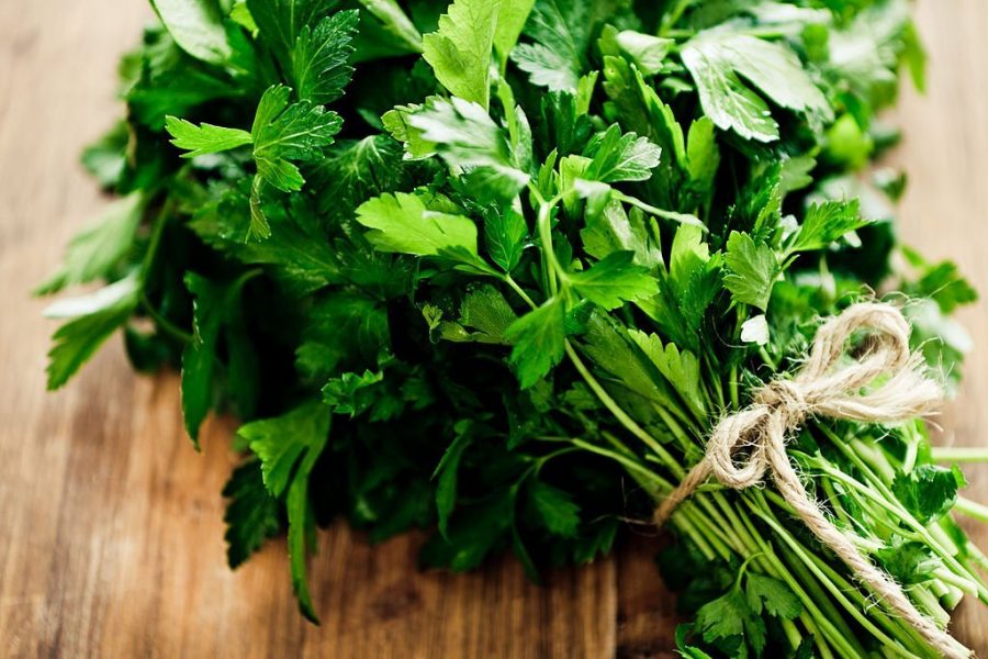 The 10 Best Herbs For Blood Circulation You Should Take