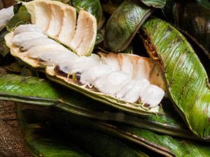 Pacay Fruit Nutrition Facts & Health Benefits | Complete Guide